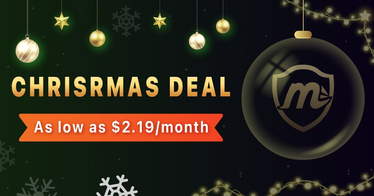 Best Christmas VPN Deal 2024 | MetroVPN